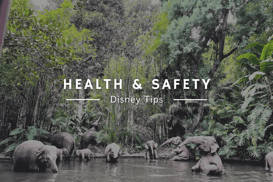 9 Health & Safety Tips for Your Disney Vacation Julia Vaness