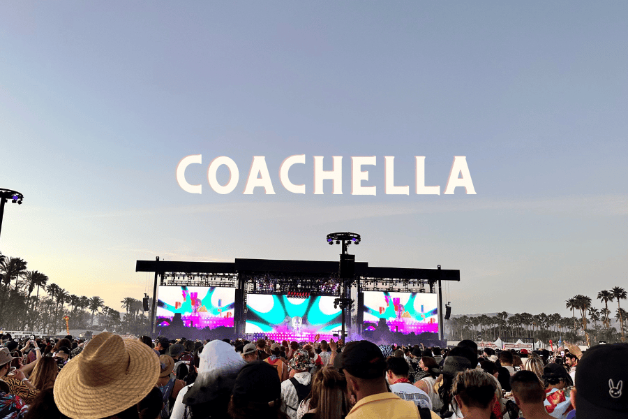 Popular Souvenirs & Keepsakes from Coachella - Julia Vaness