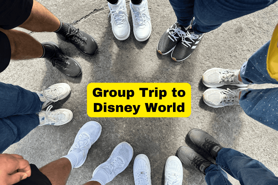 Tips for Group Trip to Disney World - Julia Vaness