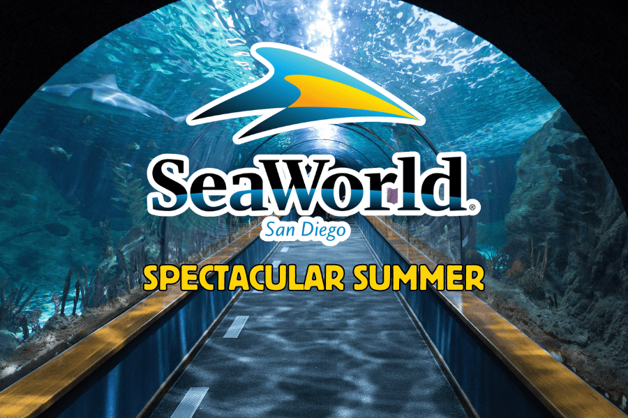 SeaWorld San Diego's Summer Spectacular! (2024)